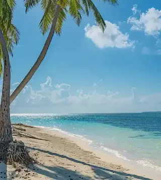 Zippeso - Simple & Secure Online Loan App in the Philippines